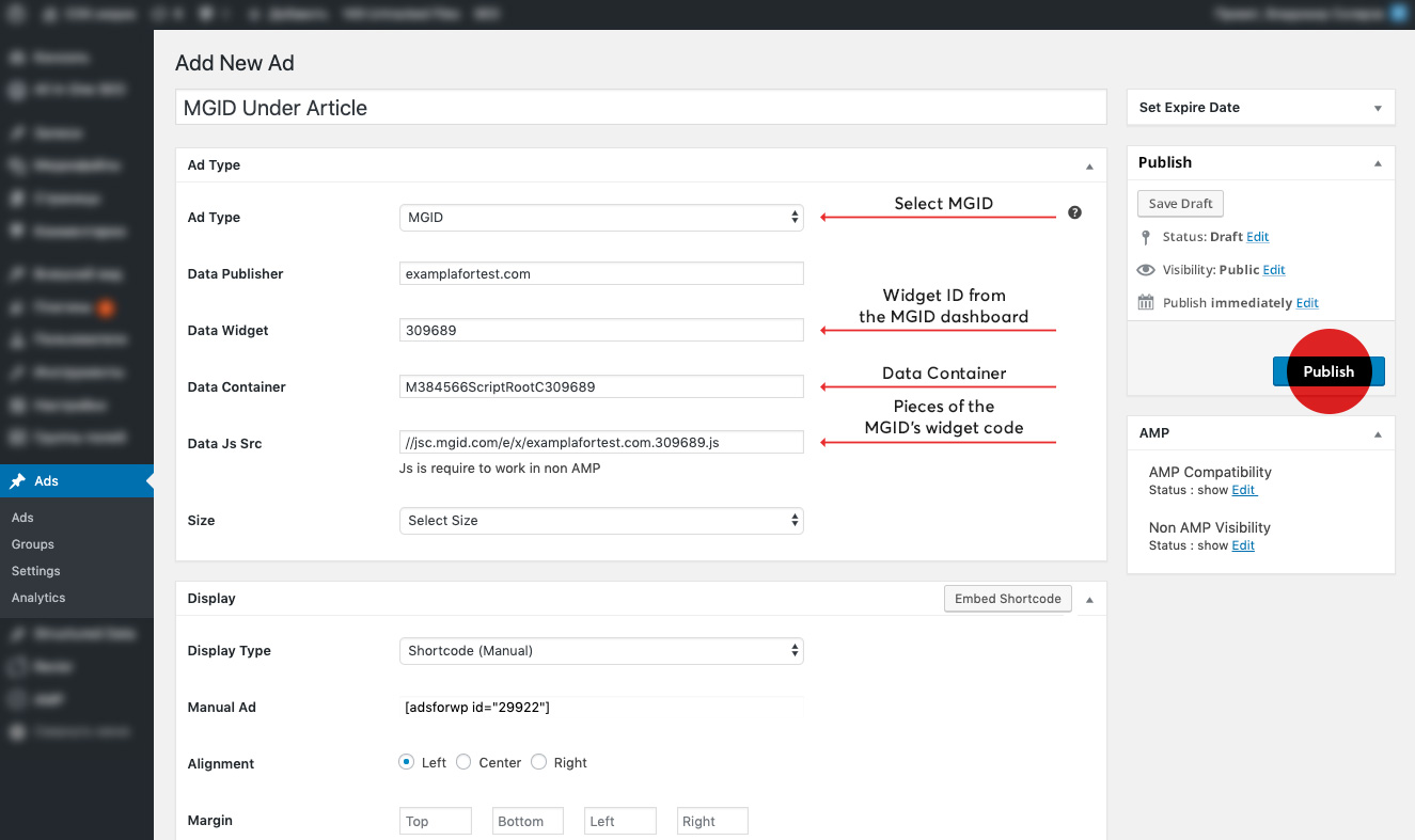 How to add MGID ads in WordPress & AMP – Ads For WP Documentation & Guides
